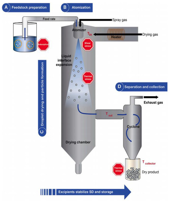 Spray-Dried Nanolipid Powders for Pulmonary Drug Delivery: A ...