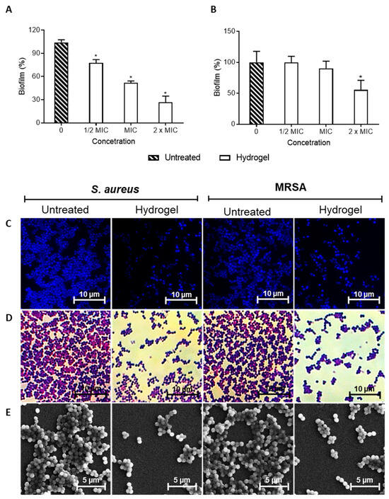 Pharmaceutics | Free Full-Text | Protium spruceanum Extract Enhances Mupirocin Activity When ...
