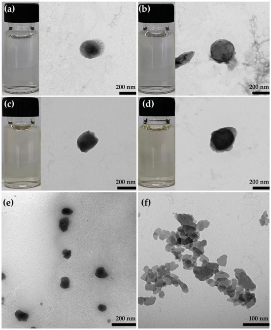 Chitosan Alginate Nanoparticles of Protein Hydrolysate from Acheta ...