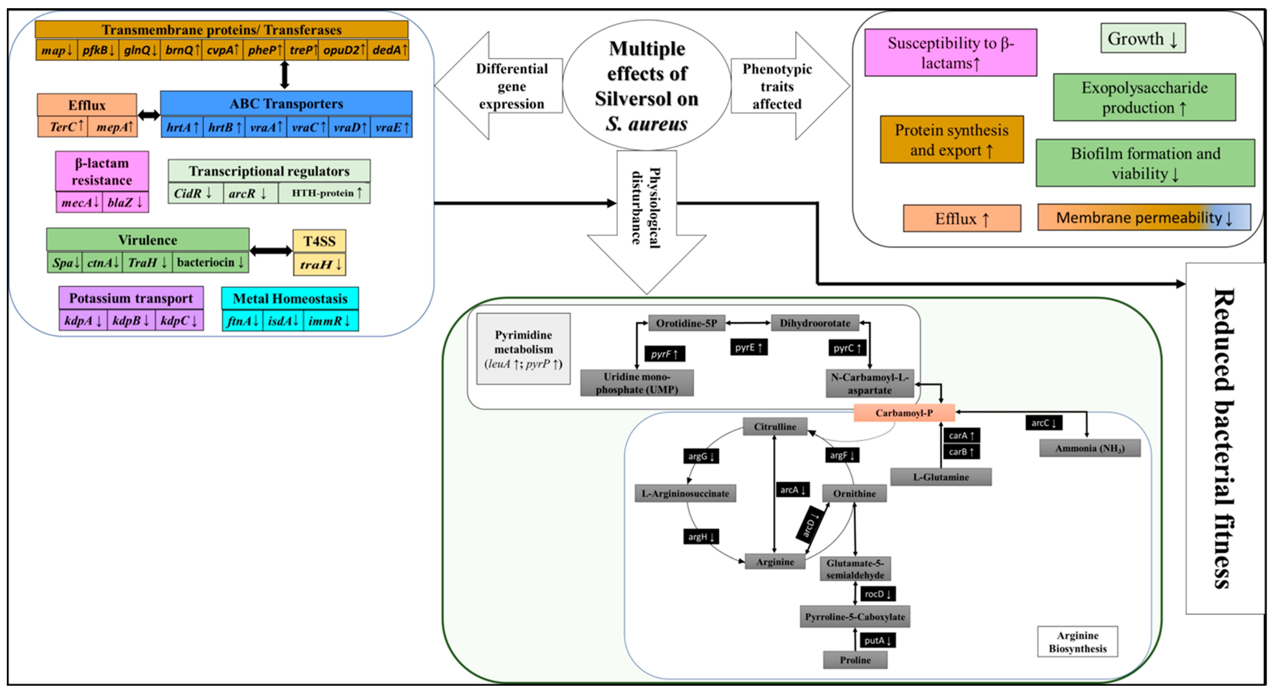 Silversol® (a Colloidal Nanosilver Formulation) Inhibits Growth of ...