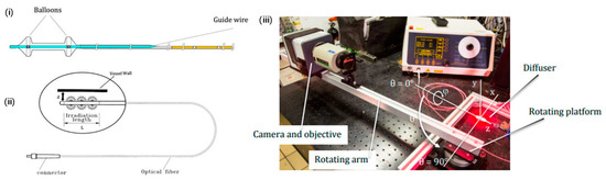 Photodynamic Therapy for Atherosclerosis: Past, Present, and Future