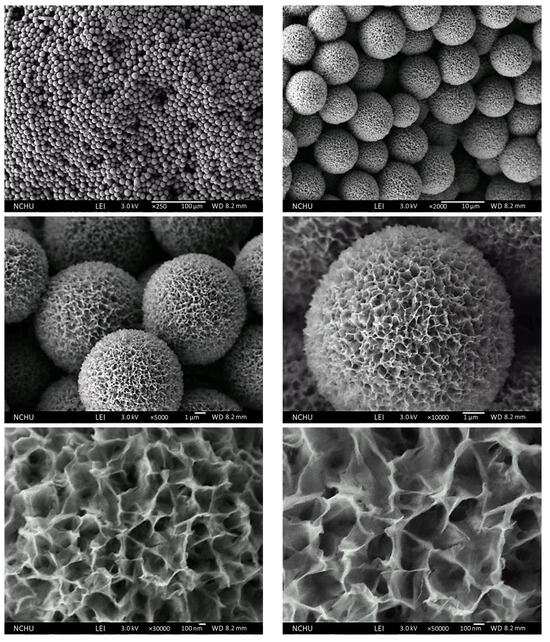Porous Chitosan/Hydroxyapatite Composite Microspheres for Vancomycin ...
