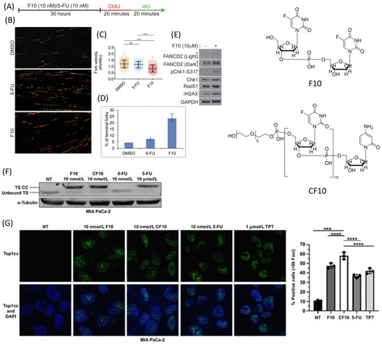 Review of Prodrug and Nanodelivery Strategies to Improve the Treatment ...