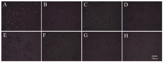 Co-Amorphization of Acemetacin with Basic Amino Acids as Co-Formers for ...