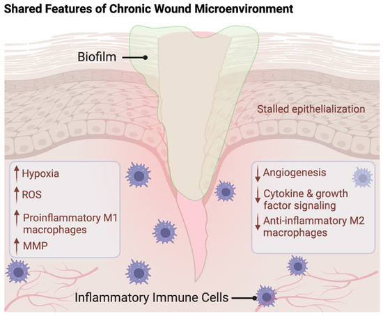 Translational Challenges in Drug Therapy and Delivery Systems for ...