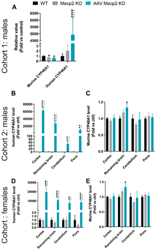 Modulation of Brain Cholesterol Metabolism through CYP46A1 ...