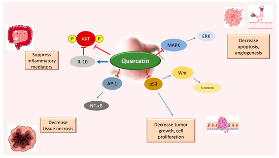 Therapeutic Applications of Nanoformulated Resveratrol and Quercetin ...