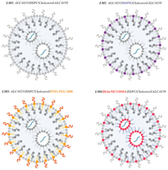 Optimizing mRNA-Loaded Lipid Nanoparticles as a Potential Tool for ...