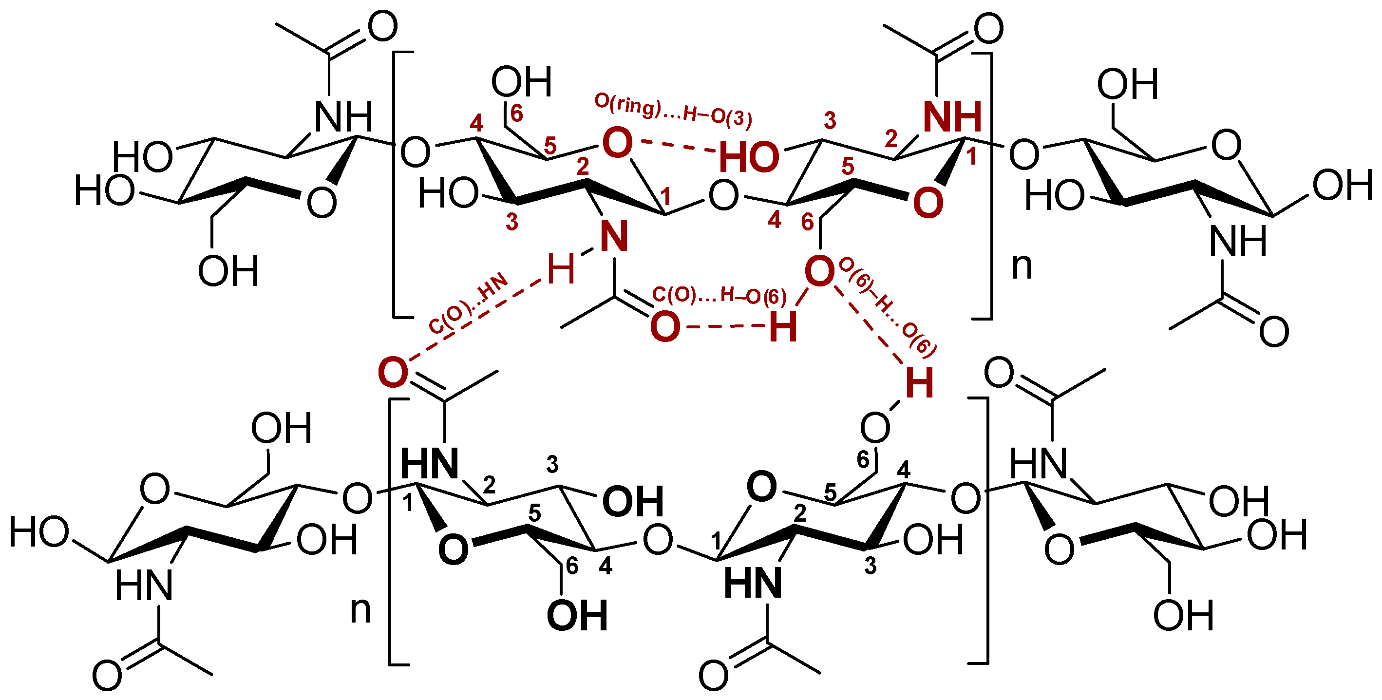 Design of Chitin Cell Culture Matrices for 3D Tissue Engineering: The ...