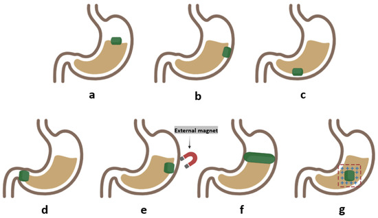 Expanding the Manufacturing Approaches for Gastroretentive Drug ...