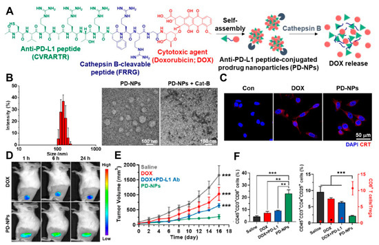 Nano Delivery Of Immunogenic Cell Death Inducers And Immune Checkpoint