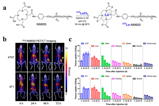 Recent Progress of Multifunctional Molecular Probes for Triple-Negative ...