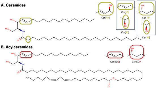 Pharmaceutics | Free Full-Text | Lipid Biomimetic Models as Simple Yet ...