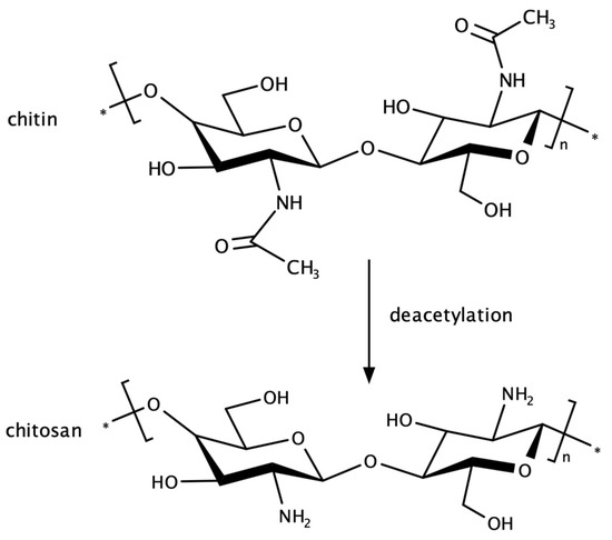 Gene Therapy with Chitosan Nanoparticles: Modern Formulation Strategies ...