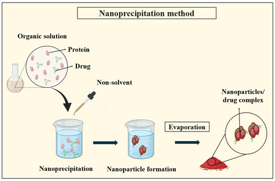 Advancing Tumor Therapy: Development and Utilization of Protein-Based ...