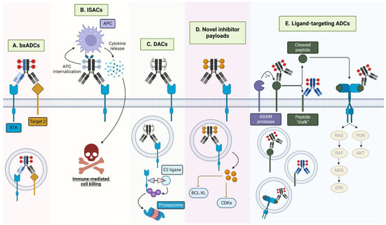 Pharmaceutics | Free Full-Text | The Evolving Paradigm of Antibody–Drug ...
