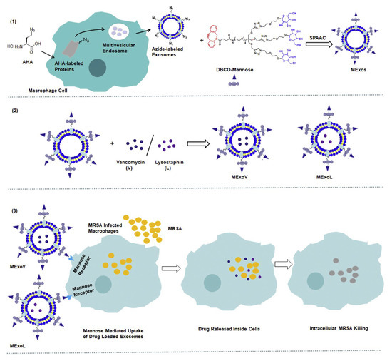 Recent Progress in Multifunctional Stimuli-Responsive Combinational ...
