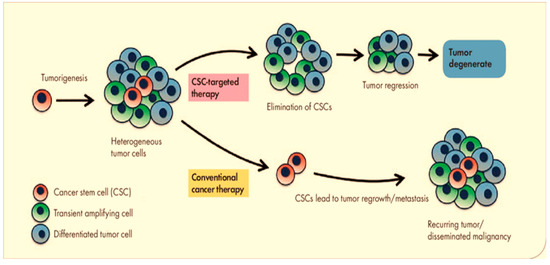 Novel Anti-Cancer Stem Cell Compounds: A Comprehensive Review