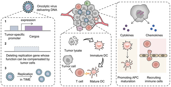 Biomimetic Nucleic Acid Drug Delivery Systems for Relieving Tumor Immunosuppressive Microenvironment