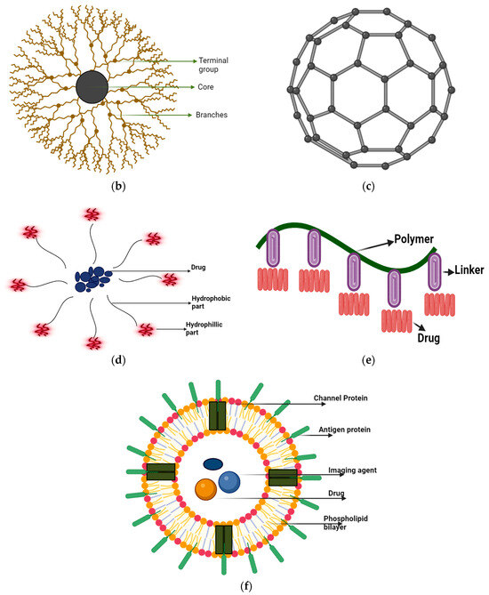 Transforming Medicine with Nanobiotechnology: Nanocarriers and Their ...