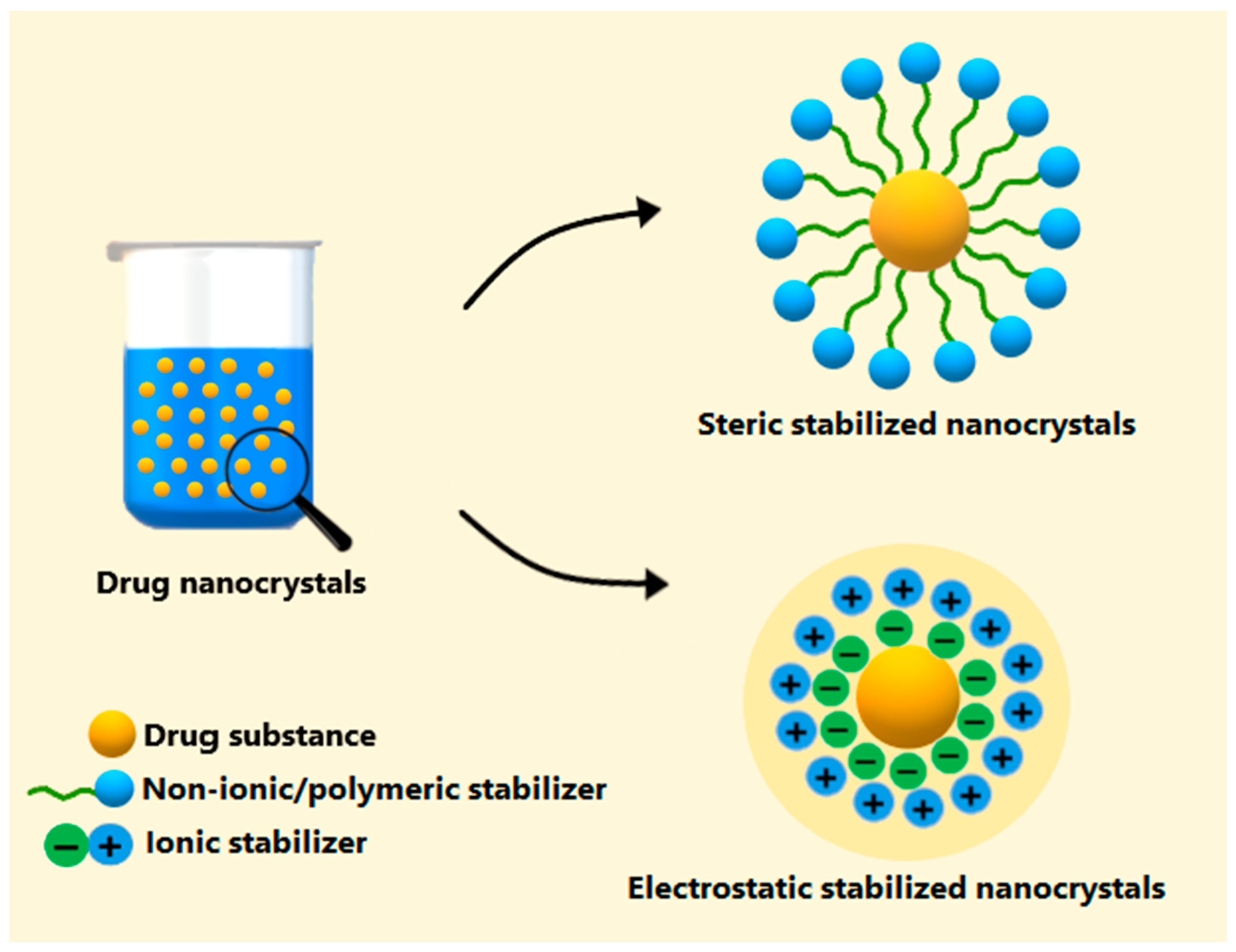 Drug Nanocrystals in Oral Absorption: Factors That Influence ...