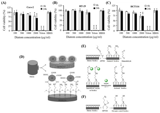 A Descriptive Review on the Potential Use of Diatom Biosilica as a ...