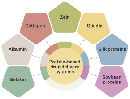 Exploring Protein-Based Carriers in Drug Delivery: A Review