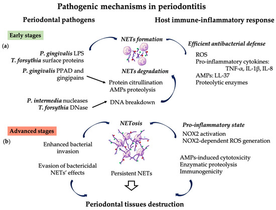 Local Drug Delivery Systems as Novel Approach for Controlling NETosis ...
