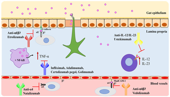 Advancements in Inflammatory Bowel Disease Management: From Traditional ...