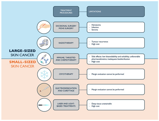 Improving Skin Cancer Treatment by Dual Drug Co-Encapsulation into ...