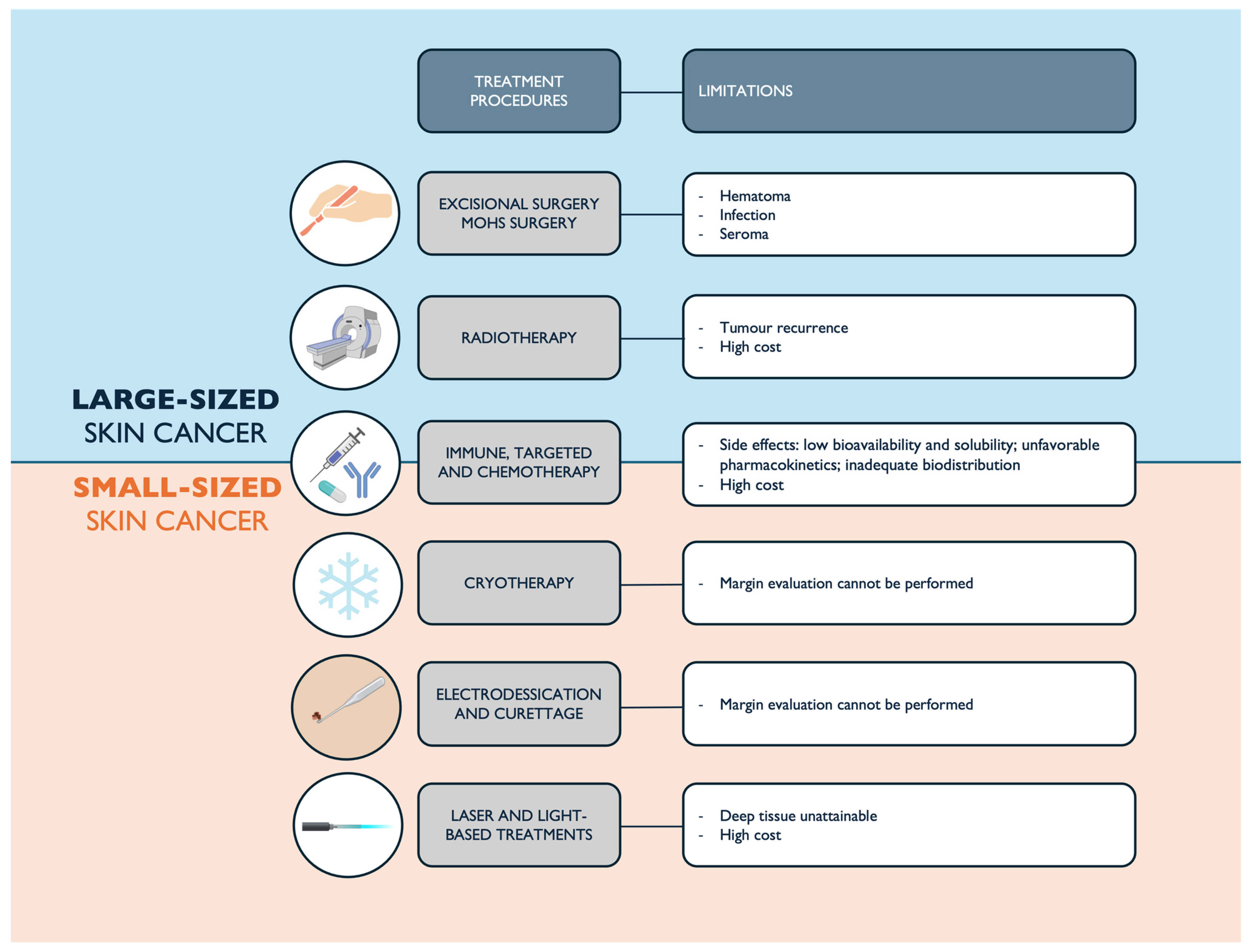 Improving Skin Cancer Treatment by Dual Drug Co-Encapsulation into ...