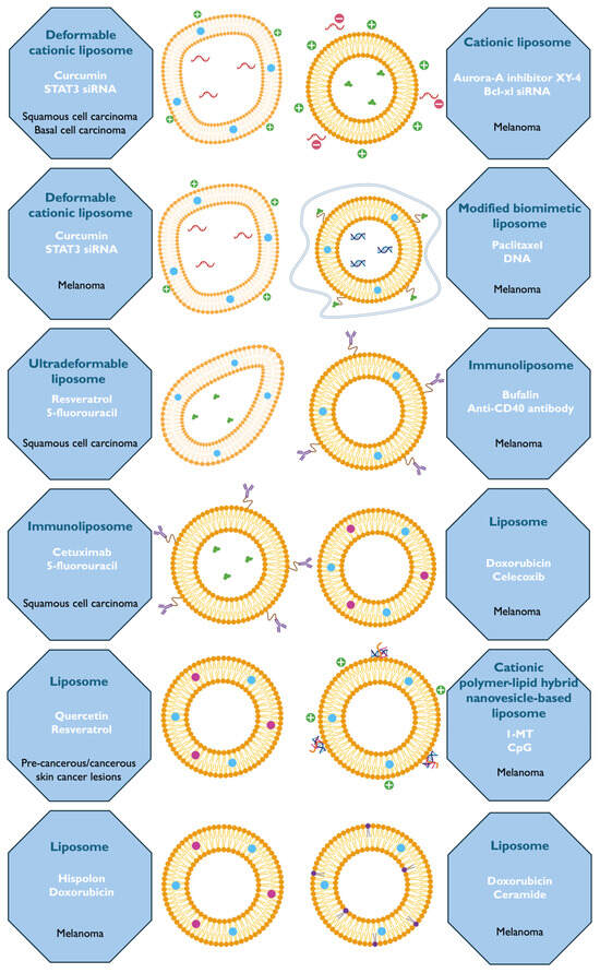 Improving Skin Cancer Treatment by Dual Drug Co-Encapsulation into ...