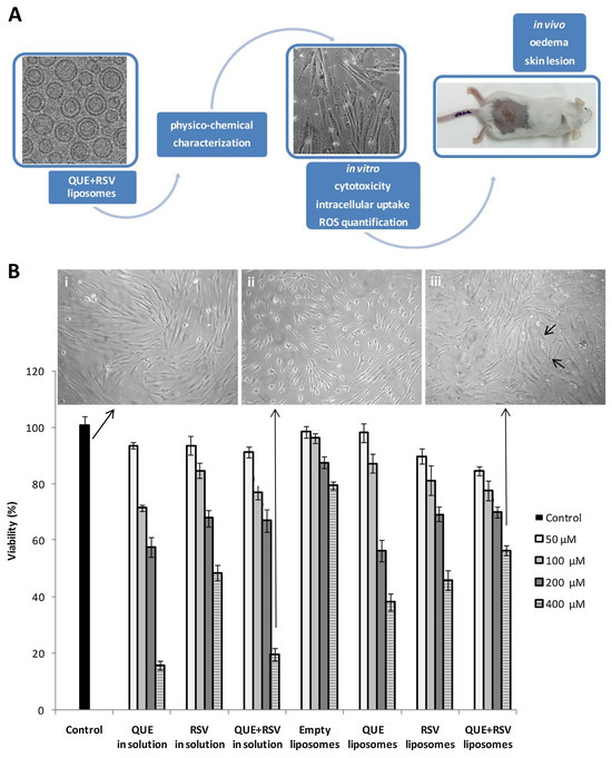 Improving Skin Cancer Treatment by Dual Drug Co-Encapsulation into ...