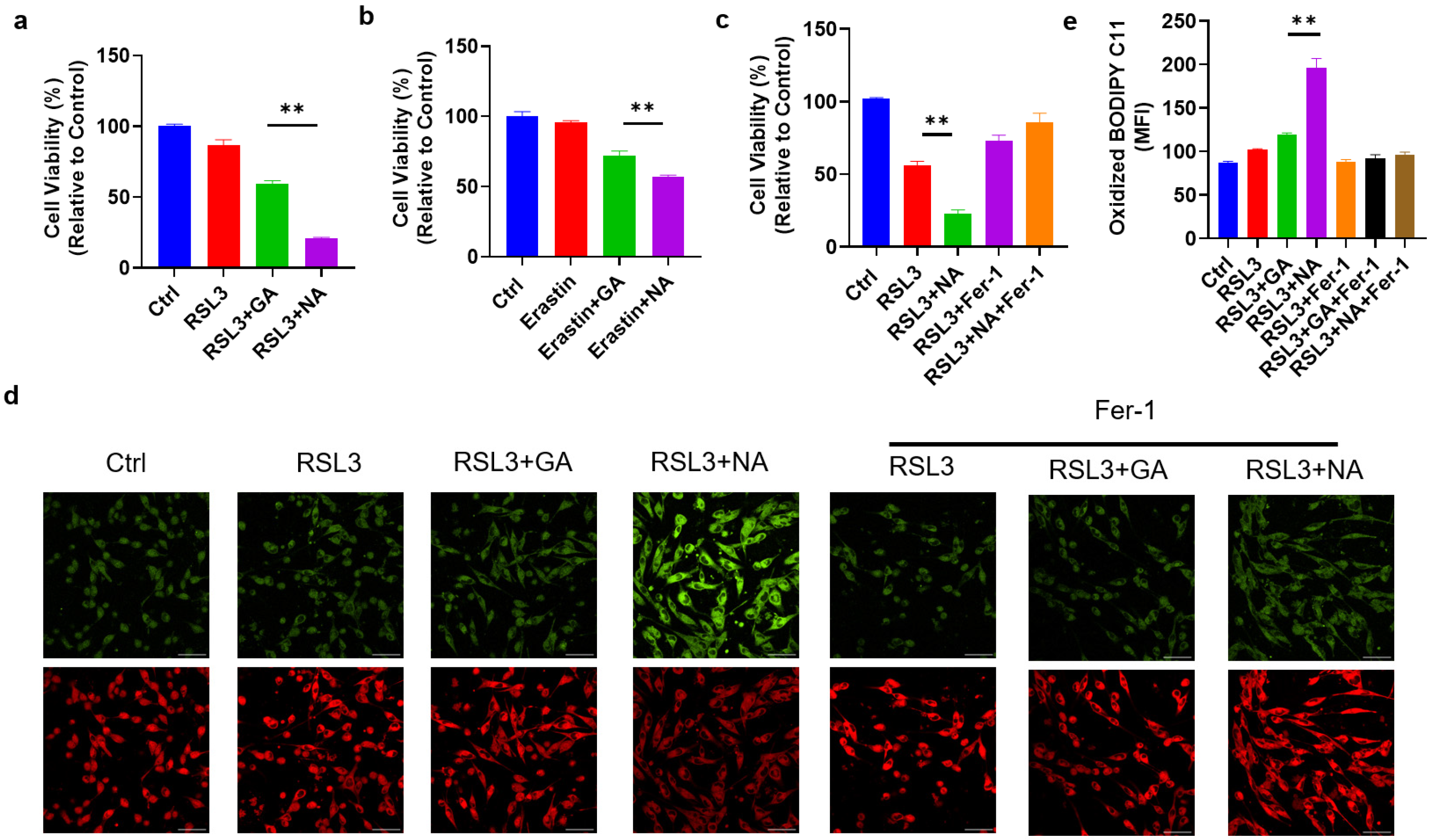 Induction of Non-Canonical Ferroptosis by Targeting Clusters Suppresses Glioblastoma