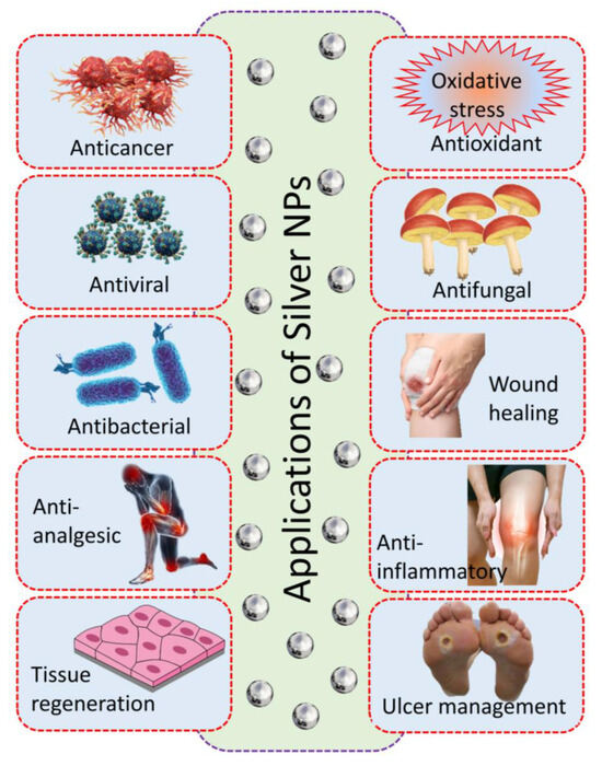 Unlocking the Potential of Silver Nanoparticles: From Synthesis to ...
