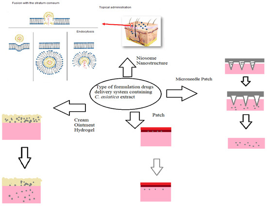 Topical Application of Centella asiatica in Wound Healing: Recent ...