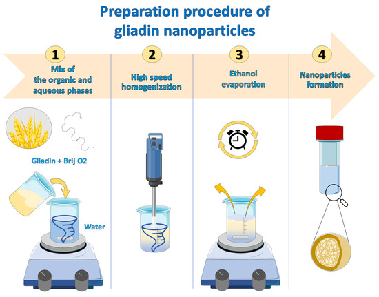 In Vitro Mucoadhesive Features of Gliadin Nanoparticles Containing ...