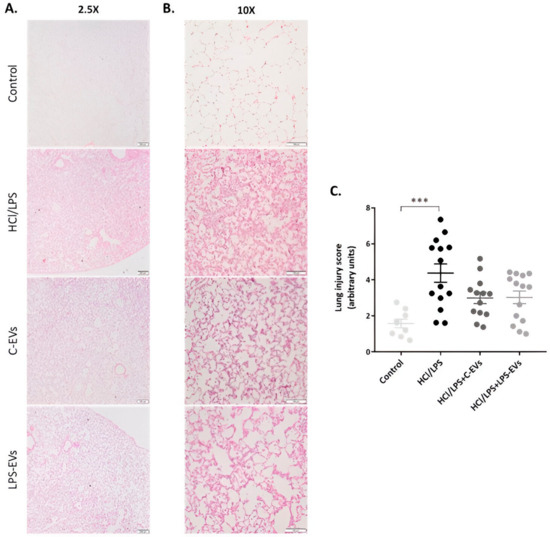 Priming Mesenchymal Stem Cells with Lipopolysaccharide Boosts the ...