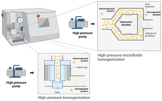 Innovations in Nanoemulsion Technology: Enhancing Drug Delivery for ...