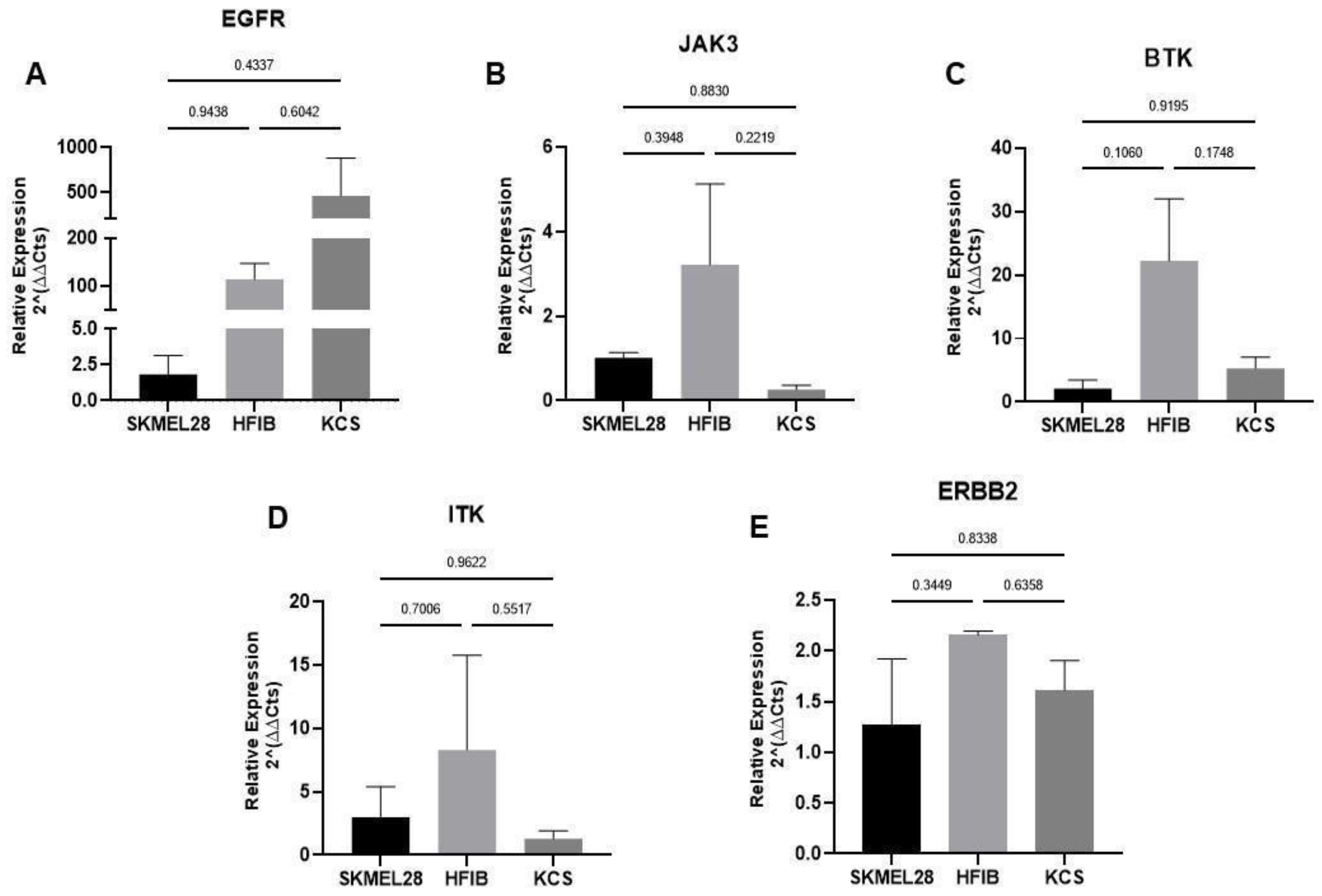 Toxicity and Dermatokinetic Analysis of Ibrutinib in Human Skin Models