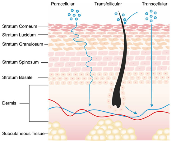 Nanocarrier-Based Transdermal Drug Delivery Systems for Dermatological ...