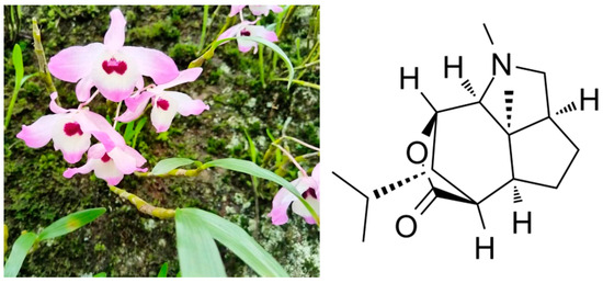 Enteric Delayed-Release Granules Loading Dendrobine Ameliorates ...