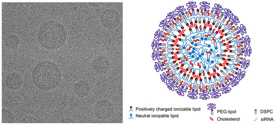 Effect of Lipid Nanoparticle Physico-Chemical Properties and ...