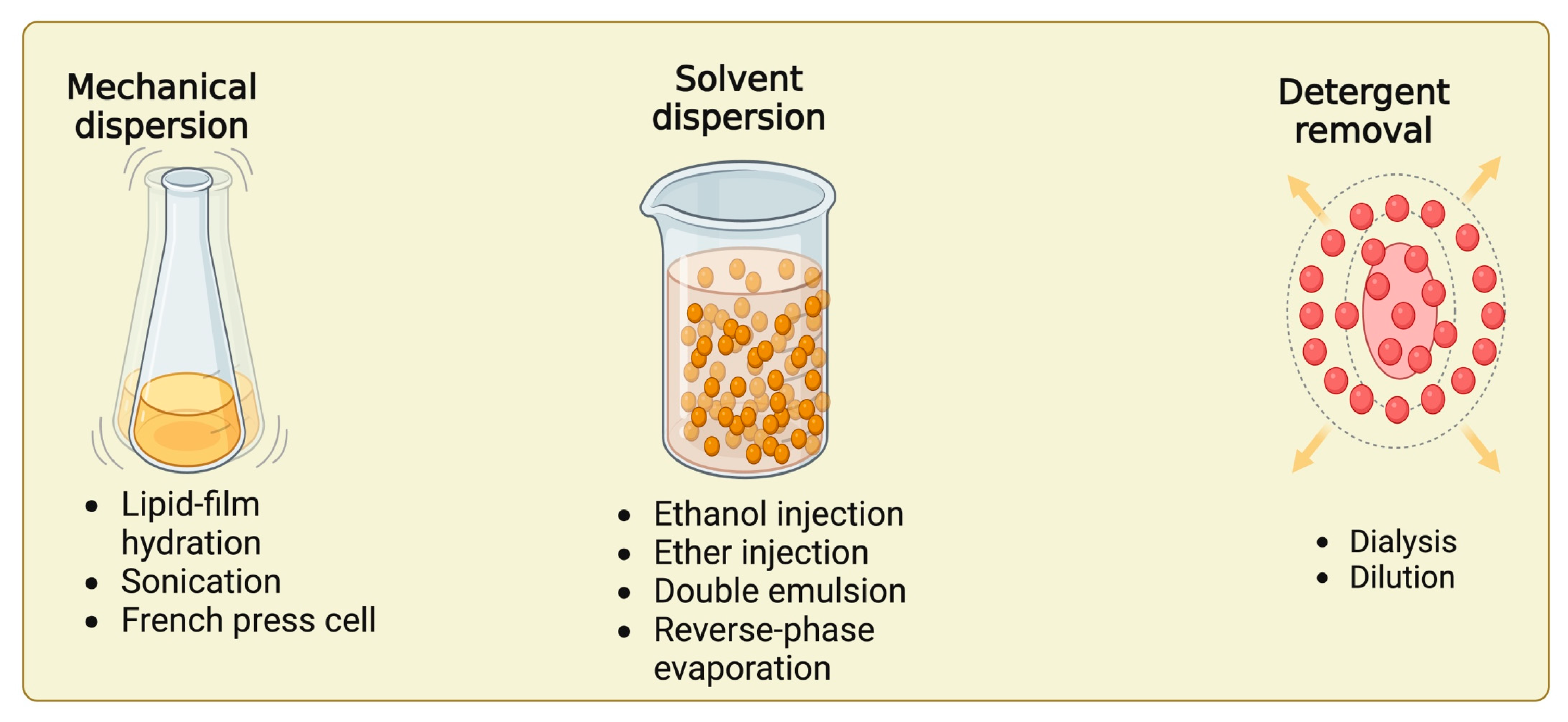 Innovative Approaches to Enhancing the Biomedical Properties of Liposomes