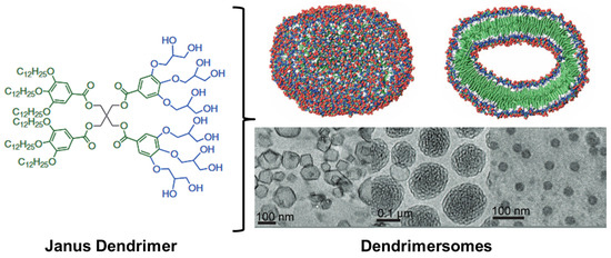 Dendrimers, Dendrons, and the Dendritic State: Reflection on the Last ...