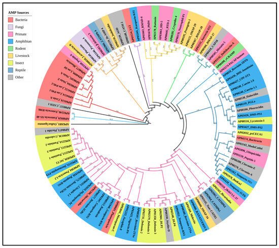 Antimicrobial Peptides: A Promising Solution to the Rising Threat of Antibiotic Resistance