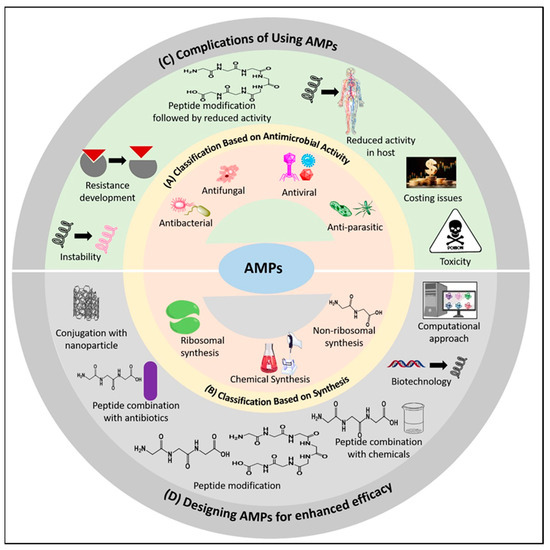 Antimicrobial Peptides: A Promising Solution to the Rising Threat of Antibiotic Resistance