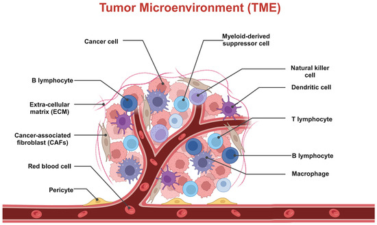 Innovative Nanomedicine Delivery: Targeting Tumor Microenvironment to ...