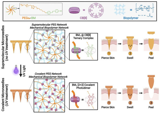 Advances in Research of Hydrogel Microneedle-Based Delivery Systems for Disease Treatment