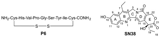 Novel Cyclic Peptide–Drug Conjugate P6-SN38 Toward Targeted Treatment ...
